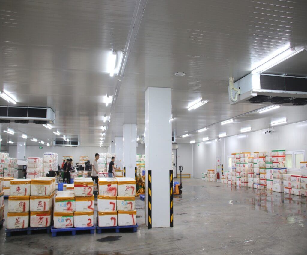 Vegetables Cold Room - Overall refrigeration solutions for food ...